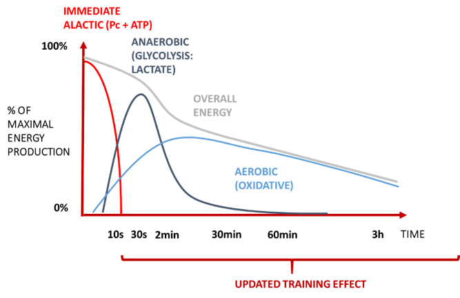 Training Effect | Firstbeat Sports Metric